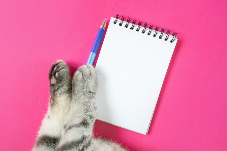Budget : Combien coûte un chat par mois ? par an ? (TTC) Budget : Combien coûte un chat par mois ? par an ? (TTC)